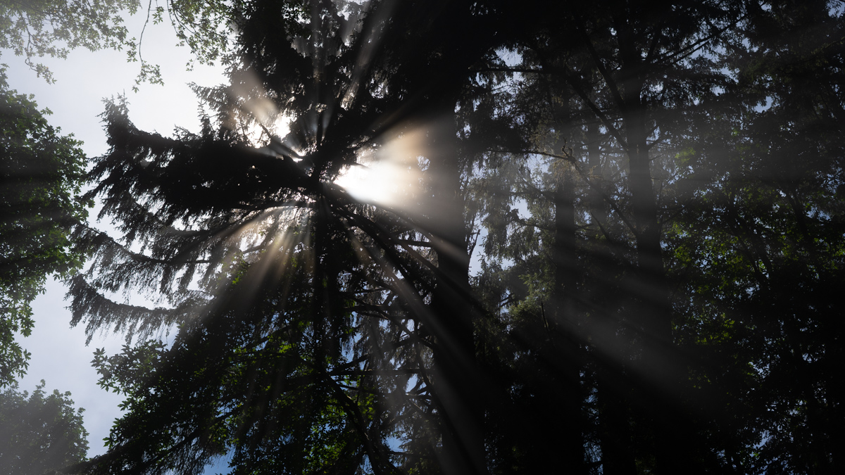 {wandering} Murdock Beach, WA, July 2020 - Body Liberation Photos & Stock