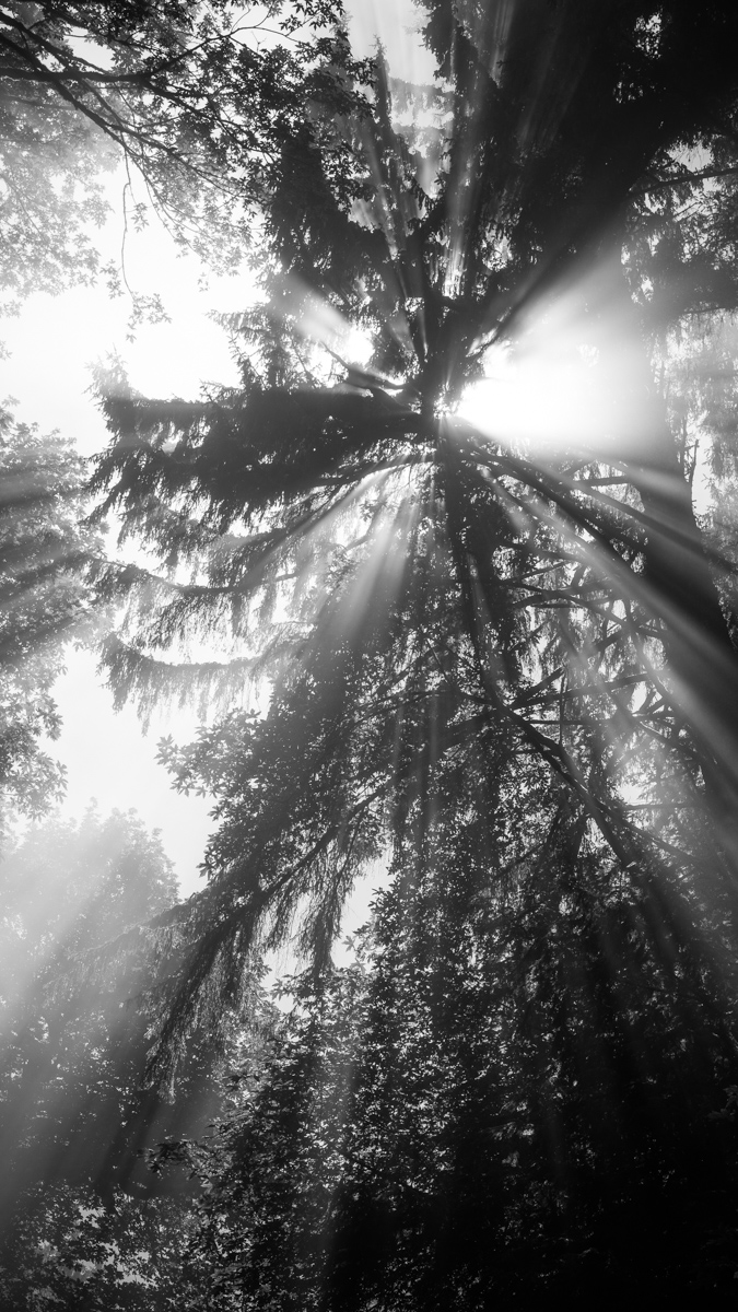 {wandering} Murdock Beach, WA, July 2020 - Body Liberation Photos & Stock