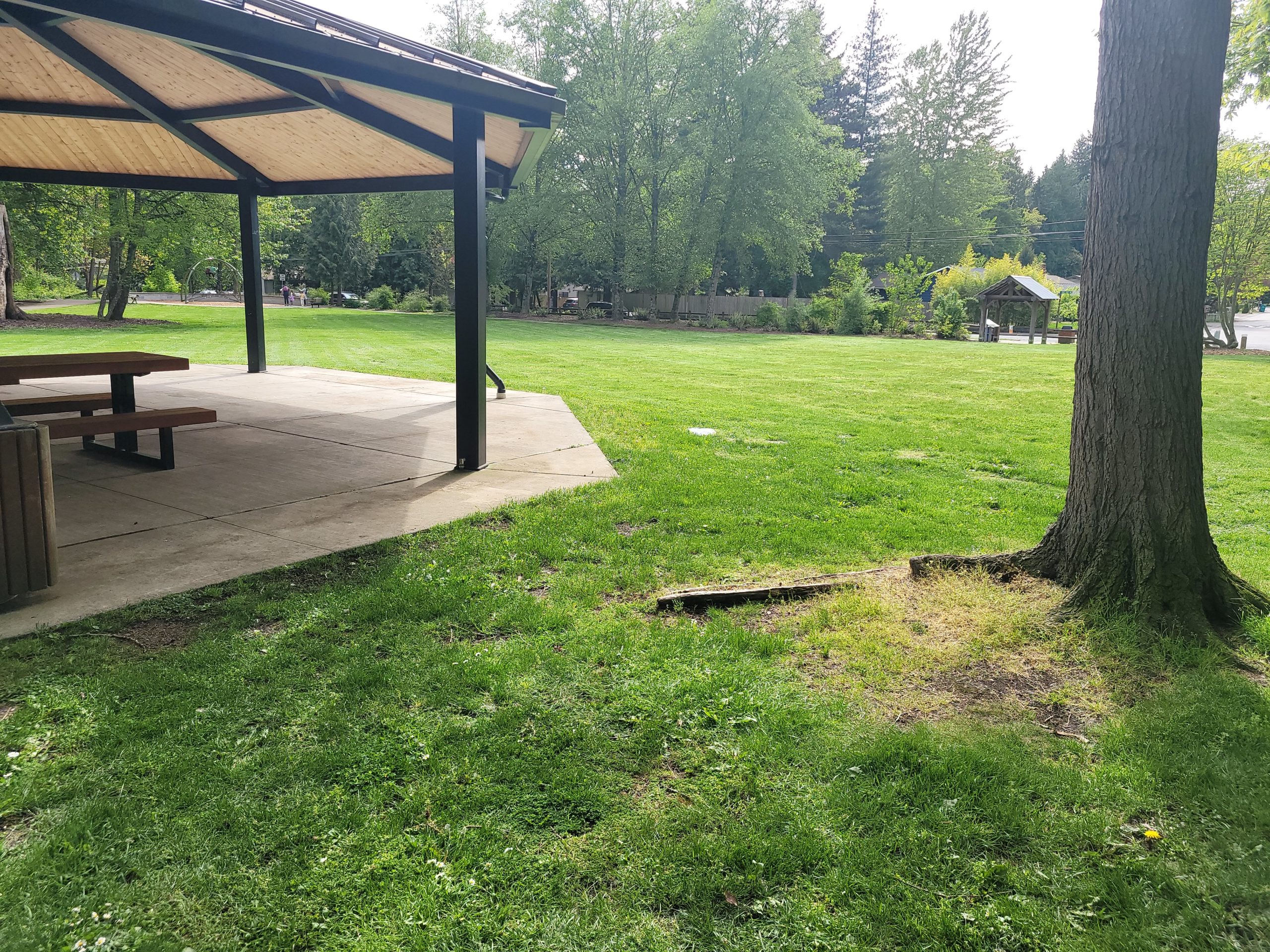 Scouting: Edith Moulton Park | Seattle body positive portrait ...
