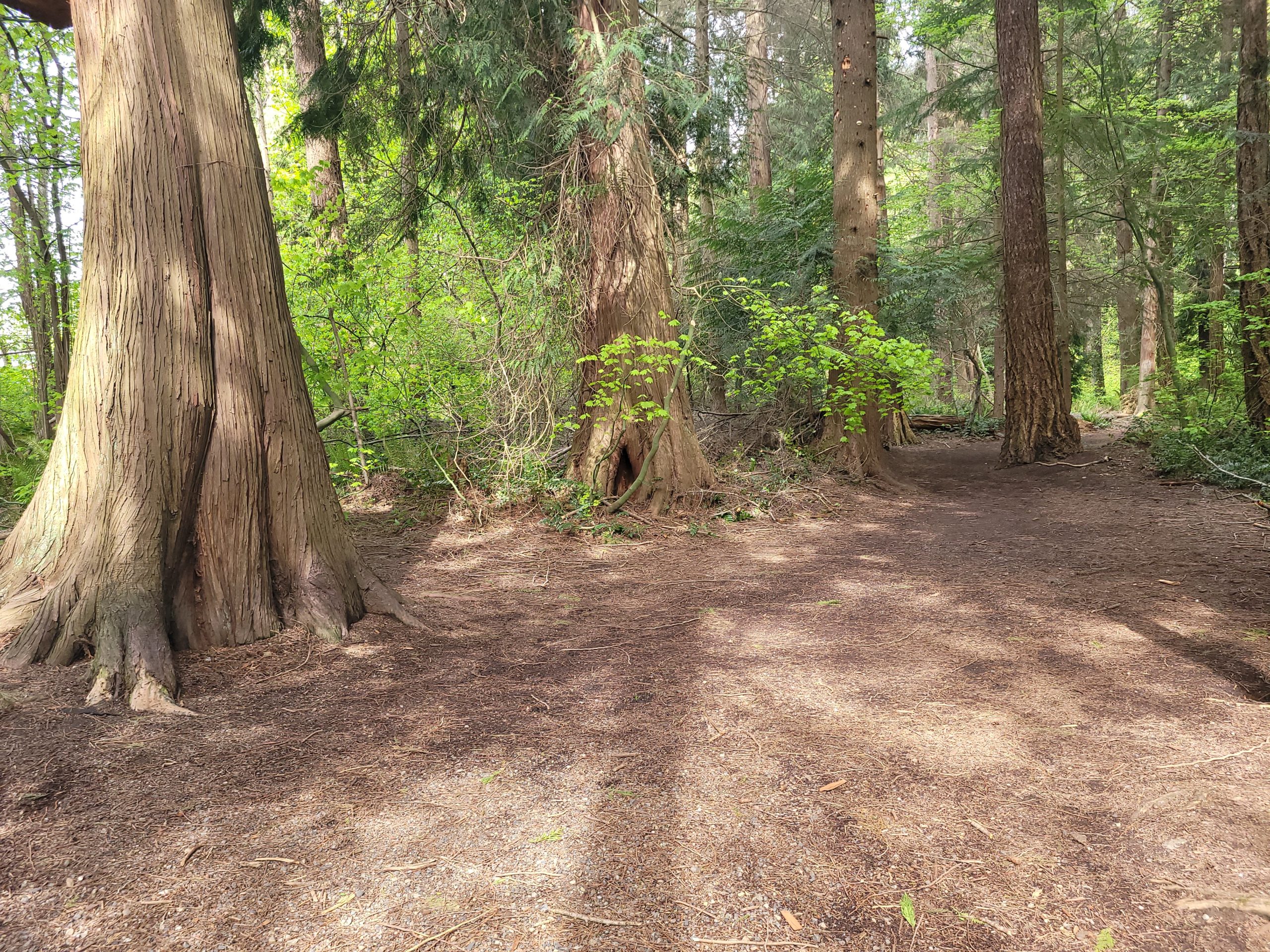 Scouting: Edith Moulton Park | Seattle body positive portrait ...